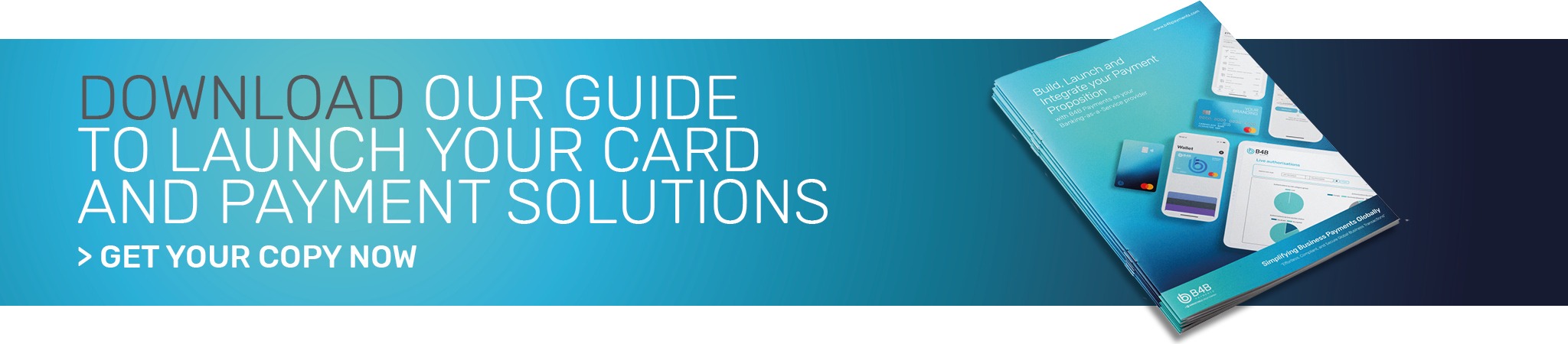 Payments and FX - B4B Payments